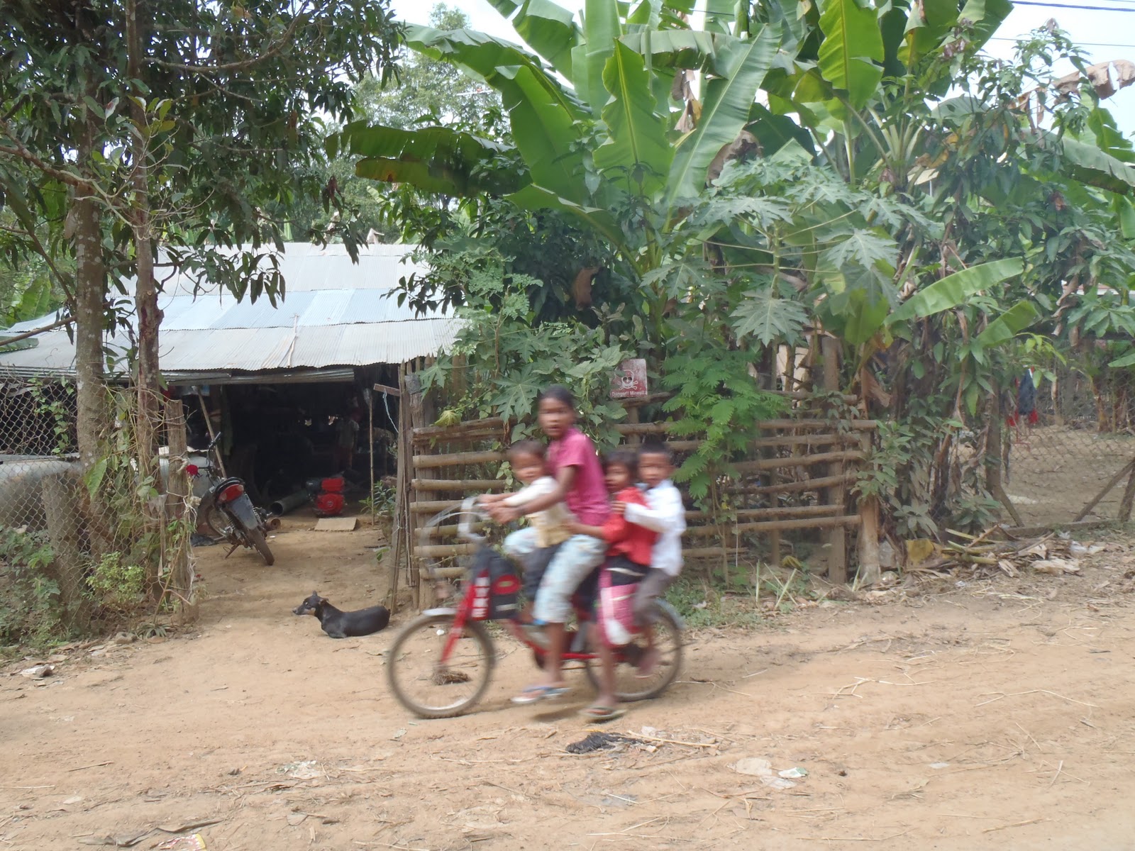 Al mundo!!!!.... por ser redondo...: Descubriendo la vida rural