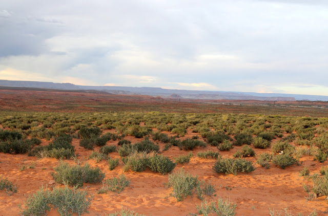 A photo, A thought............: Place: USA South West deserts............