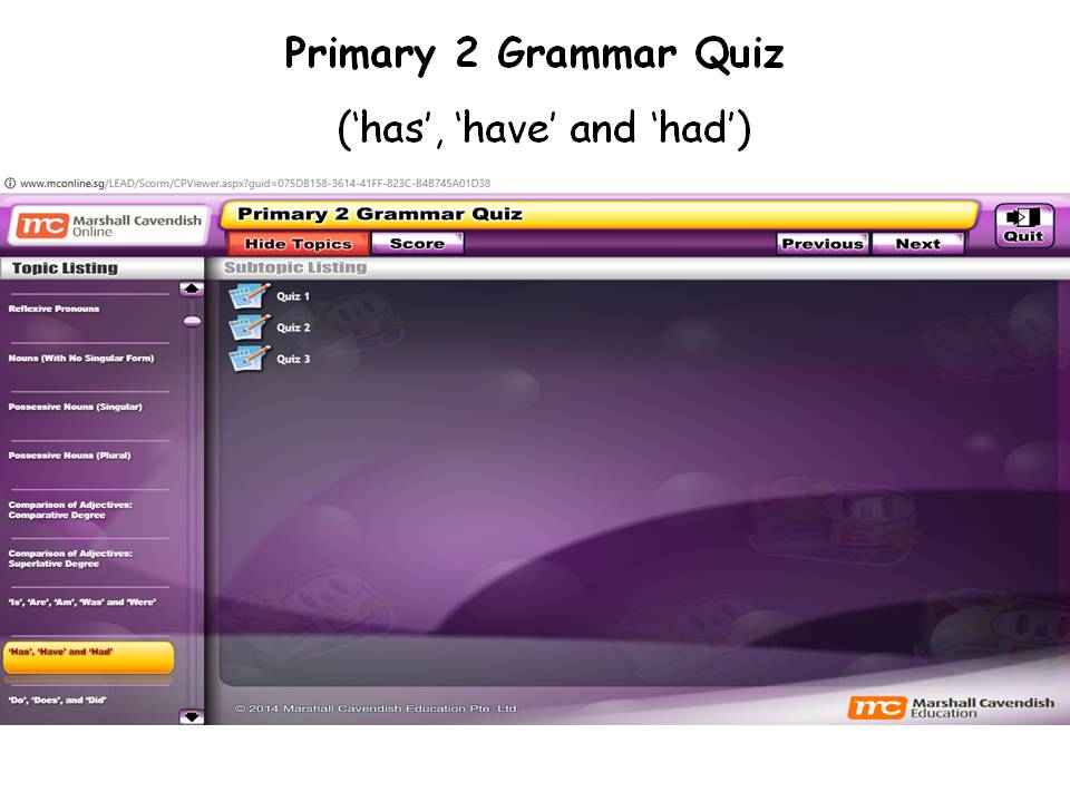 P2A Class Blog: MC Online Activities