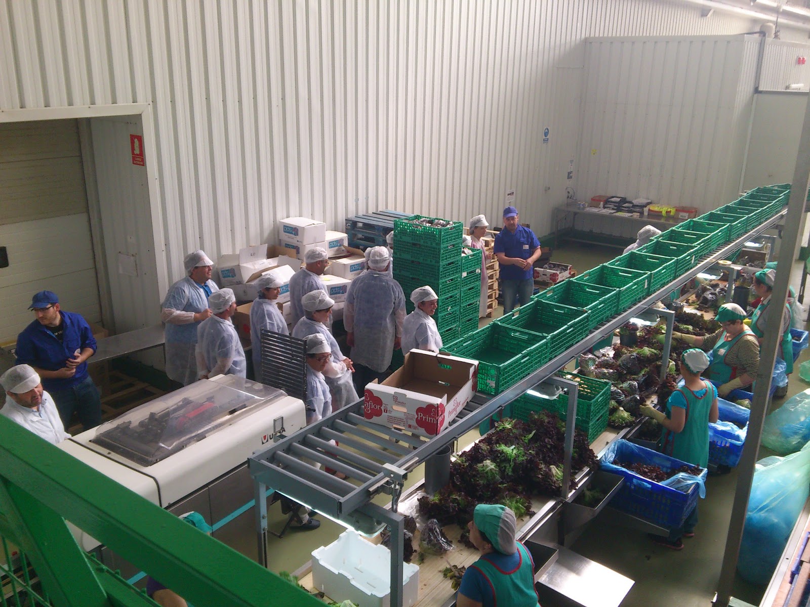 Pulpí Turístico: VISITA AL GRUPO PRIMAFLOR