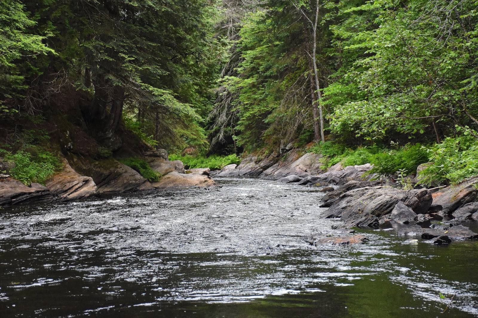 Silent Lake Provincial Park