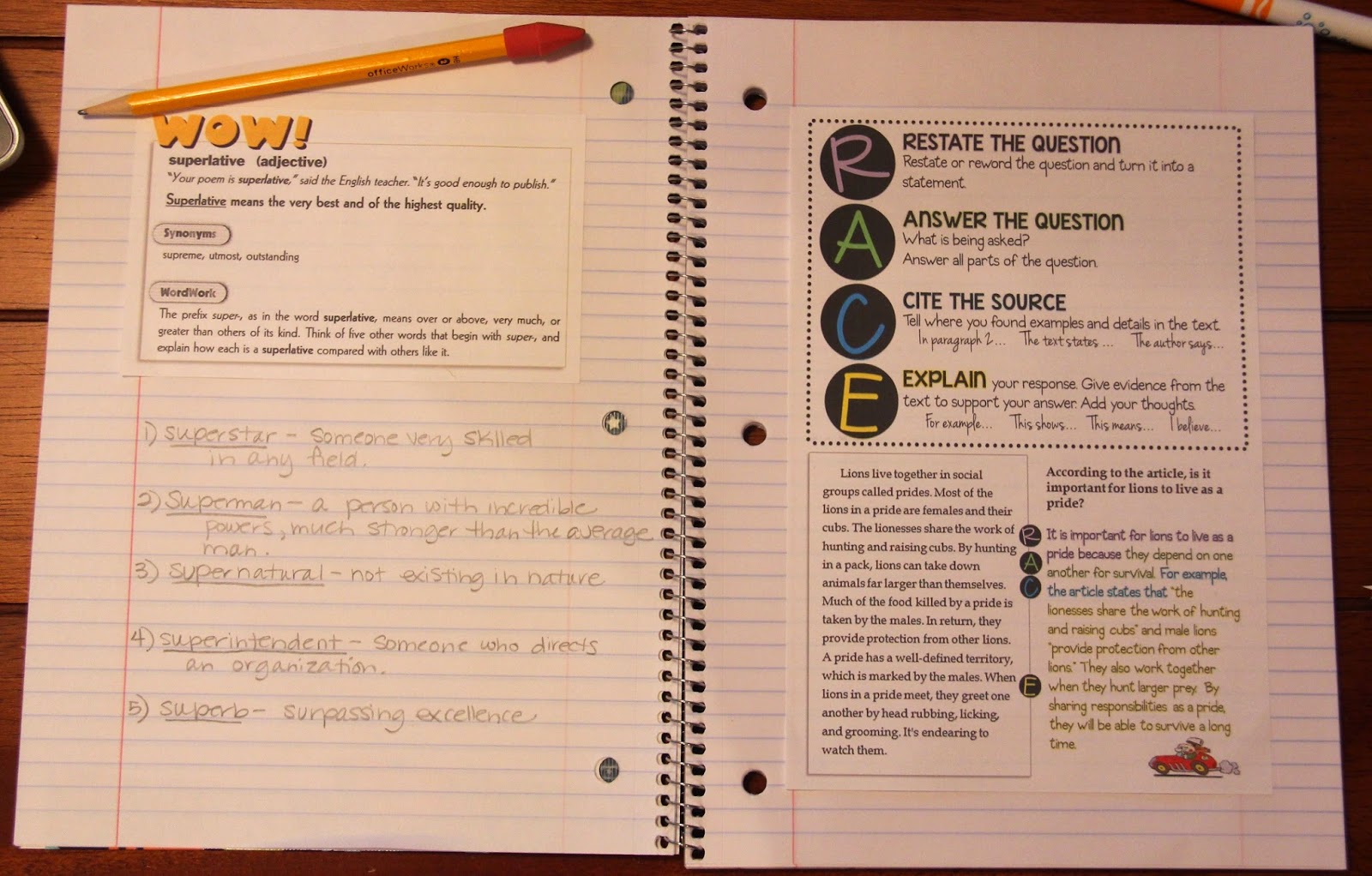 Welcome!: R.A.C.E. to English Class!