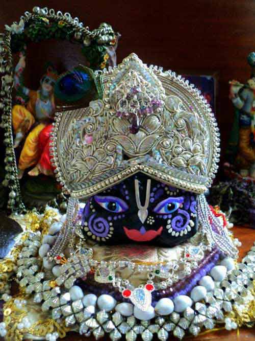 Different Types of Shaligram - Salagrama Stones Of Krishna | Hindu Blog