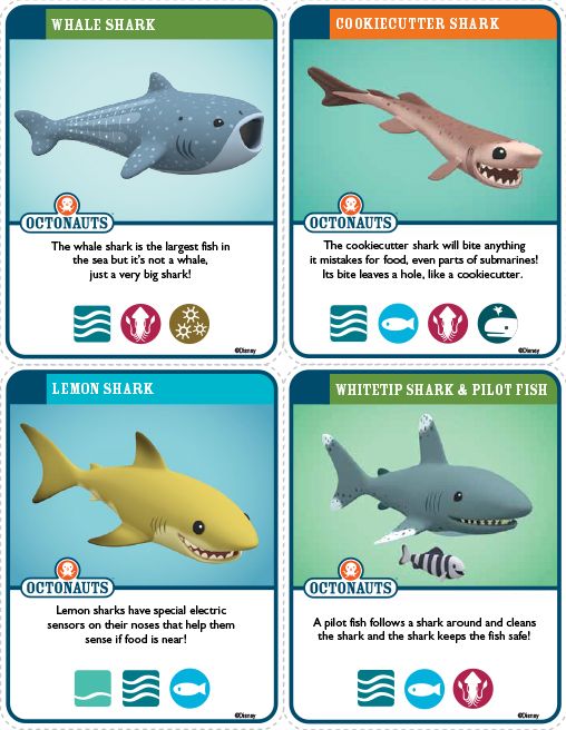 Musings of an Average Mom: Octonauts Activities