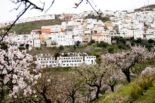 UN POCO DE AQUI,UN POCO DE ALLI: MUNICIPIOS DE GRANADA: ALBONDON