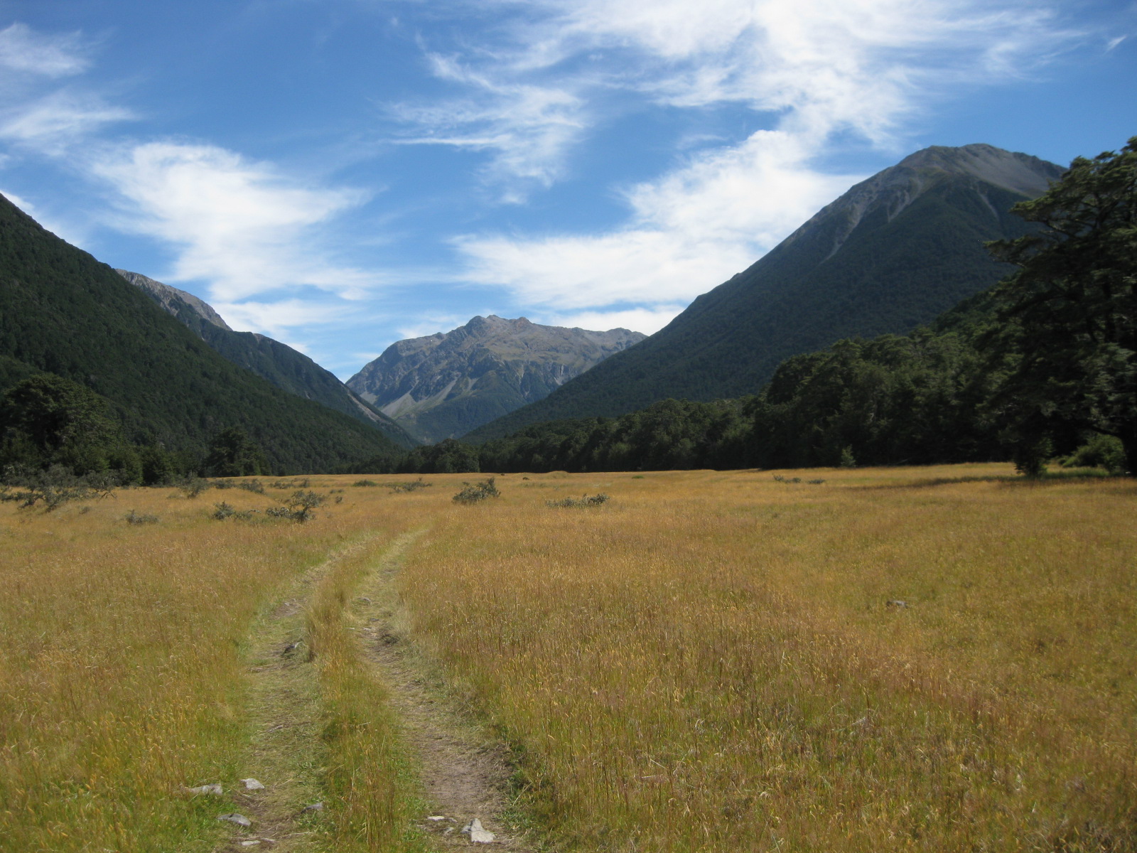 Tramping in the New Zealand backcountry: NZ Bush Adventures: Hawdon Hut ...