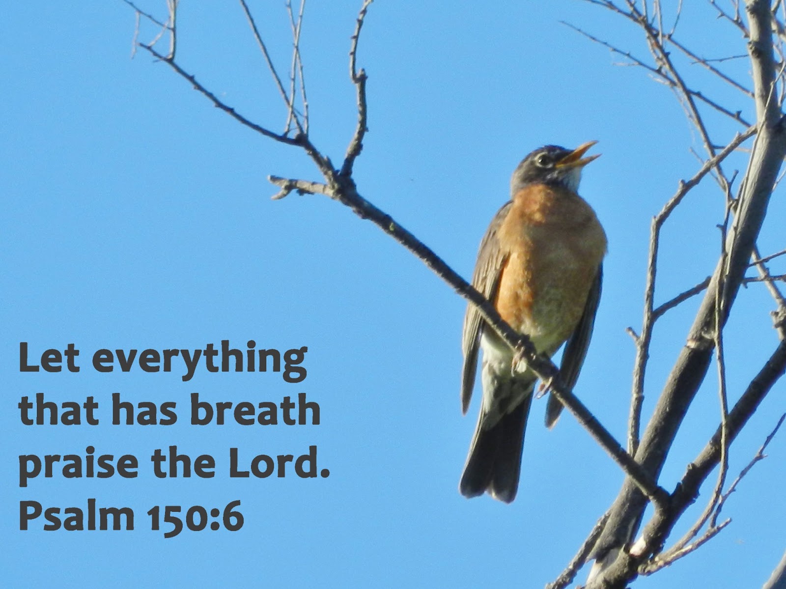 Inkwell Inspirations Scripture Pic Psalm 150 6 Inkwell Inspirations Scripture Pic Psalm 150 6