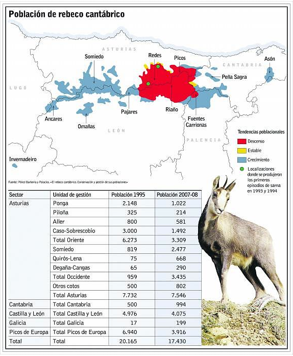 EL NIDO DEL XUAN: EL REBECO (Rupicabra rupicabra)