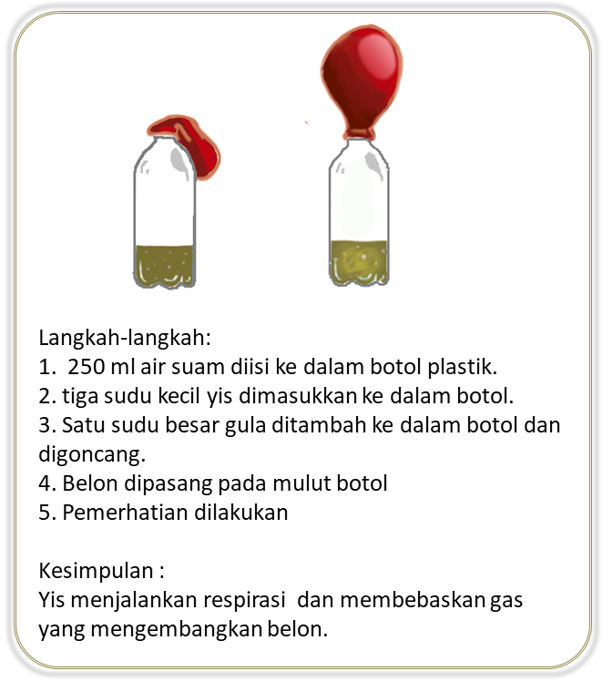 Explore to Koh's Science World ( Blog Sains): Pembiakan Yis