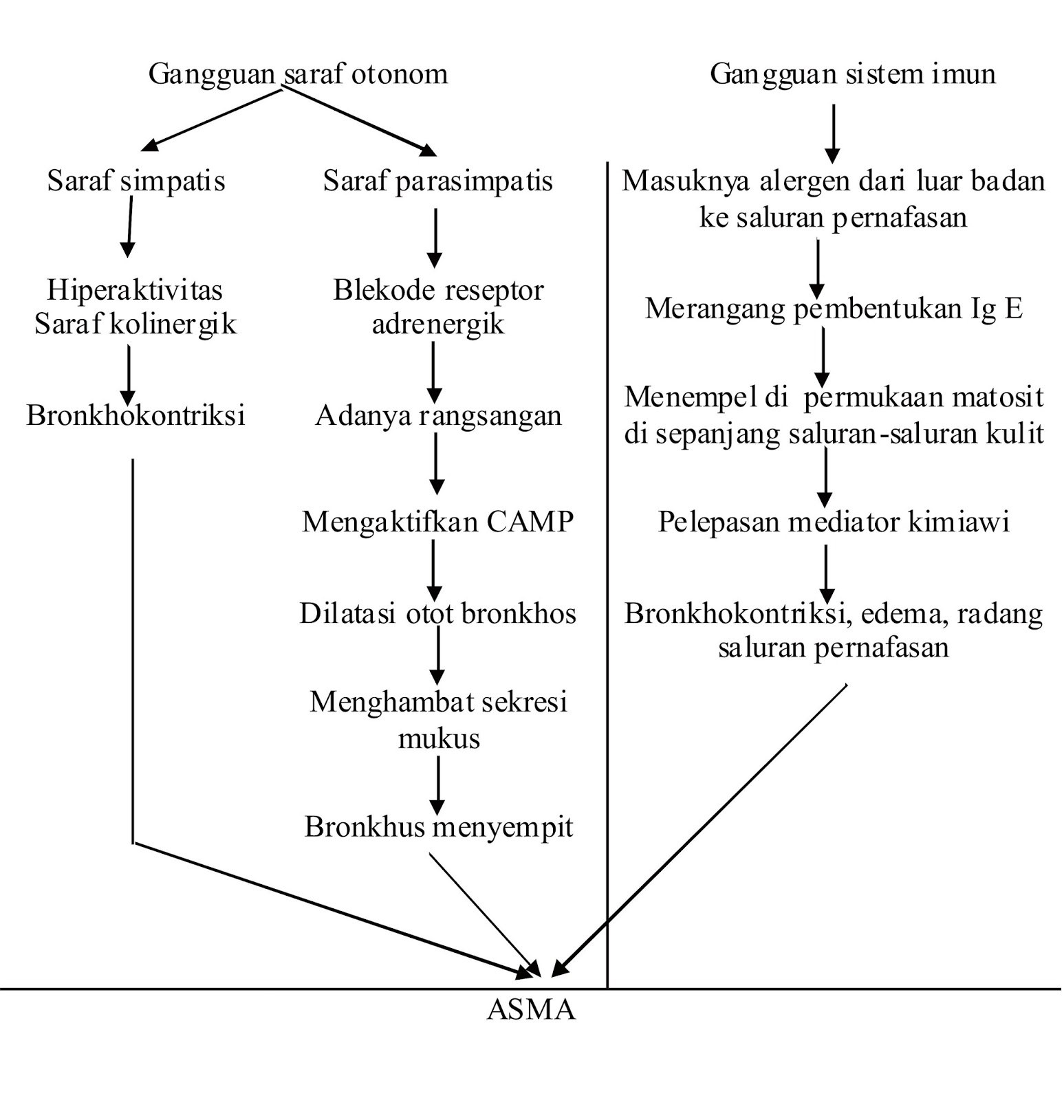 Asma Bronkial pada Anak