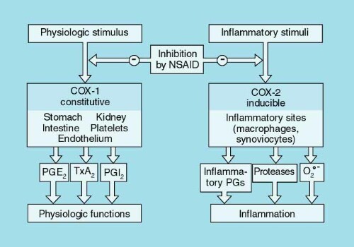 Inflammablog6!: NSAIDs and Cox-1 vs. Cox-2