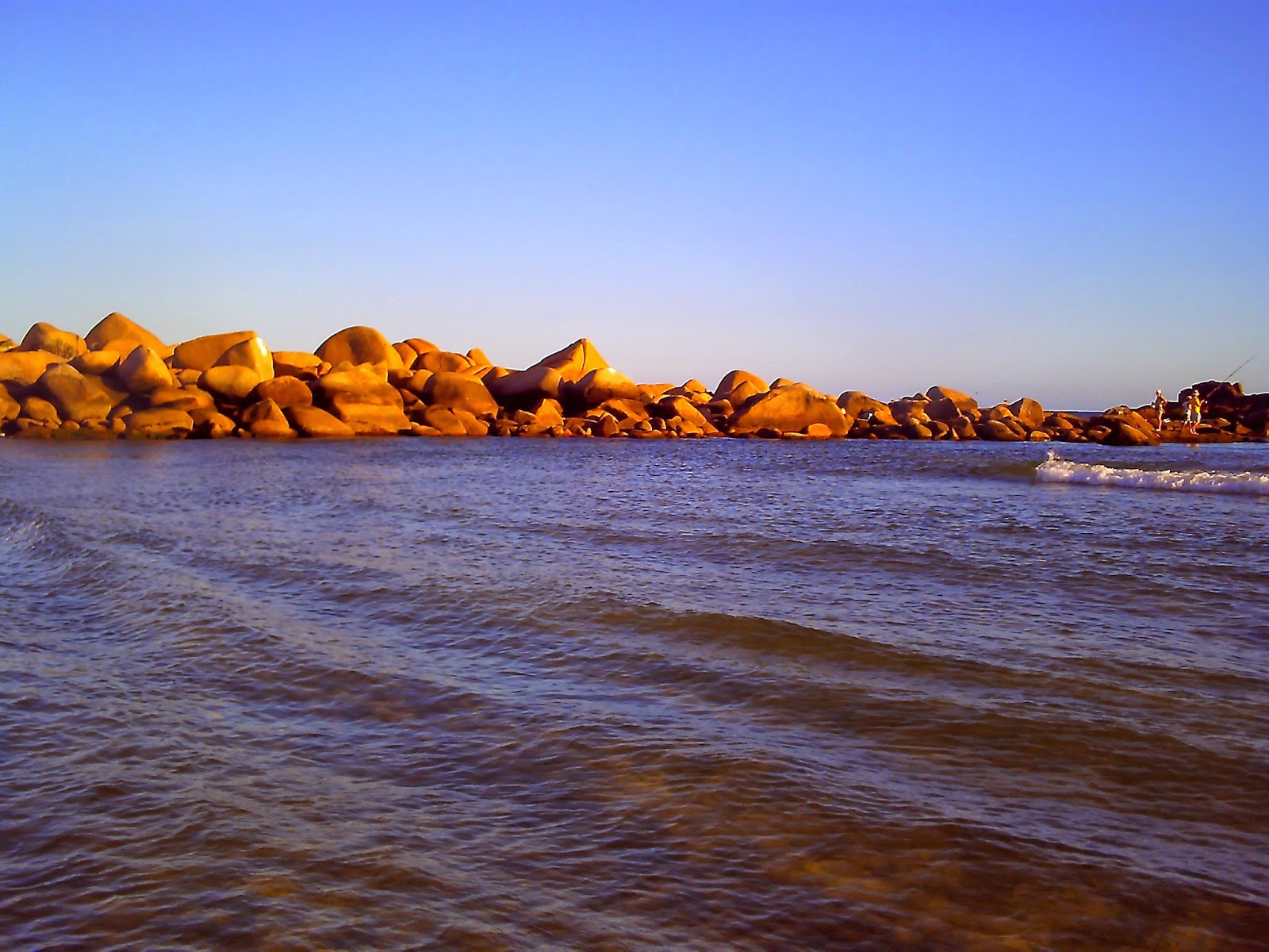 SURPRESAS DO MAR: Ilha do Cardoso, Laguna, S.C.