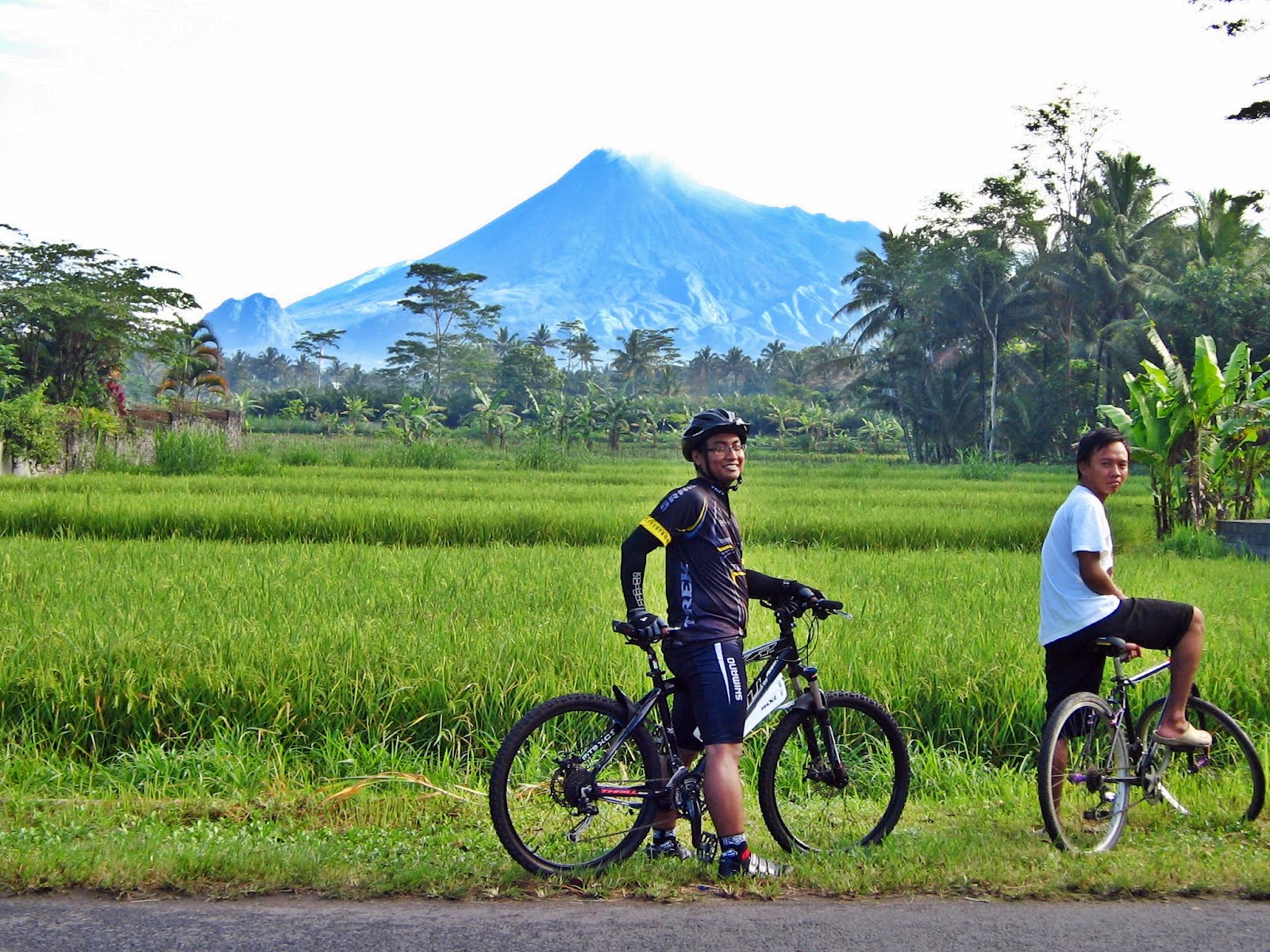 46+ Gowes, Info Modis!