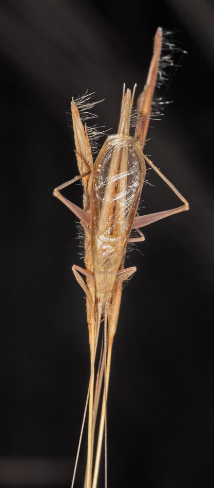 BunyipCo: November 2016