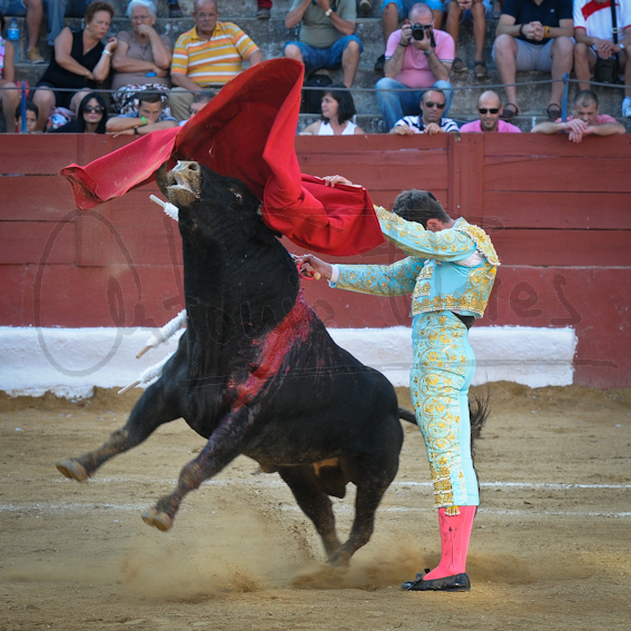 Fotos taurinas: David Galván toreando en San Fernando