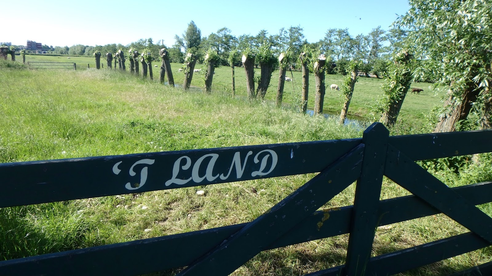 Geocache: In the fence pole