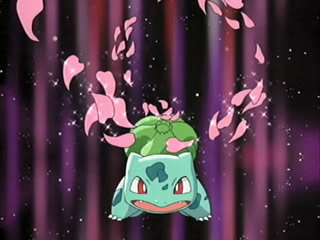 Animes Light Star: Attack Dex Bulbasaur