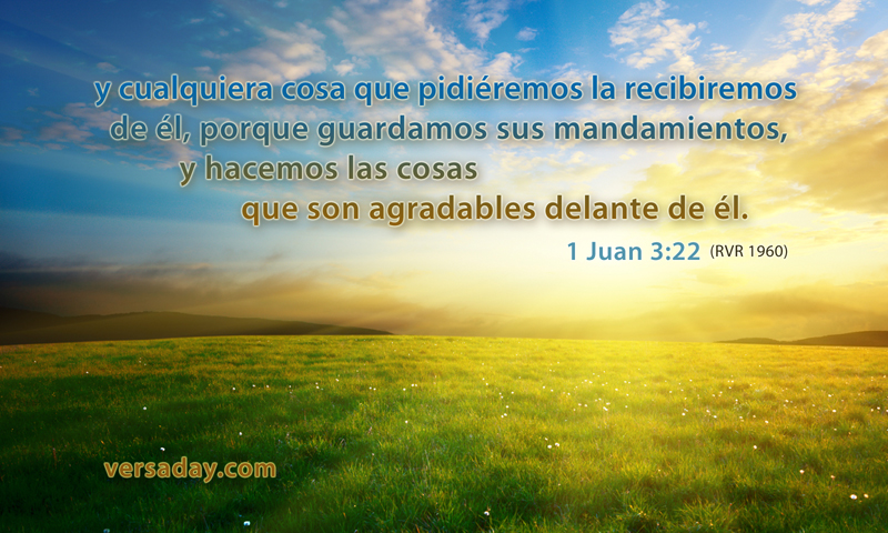 Aprendiendo la Sana Doctrina: HACIENDO LAS COSAS AGRADABLES A DIOS