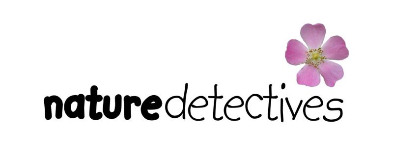 Welcome to the Green Heart Dens blog page.......: Woodland Trust ...