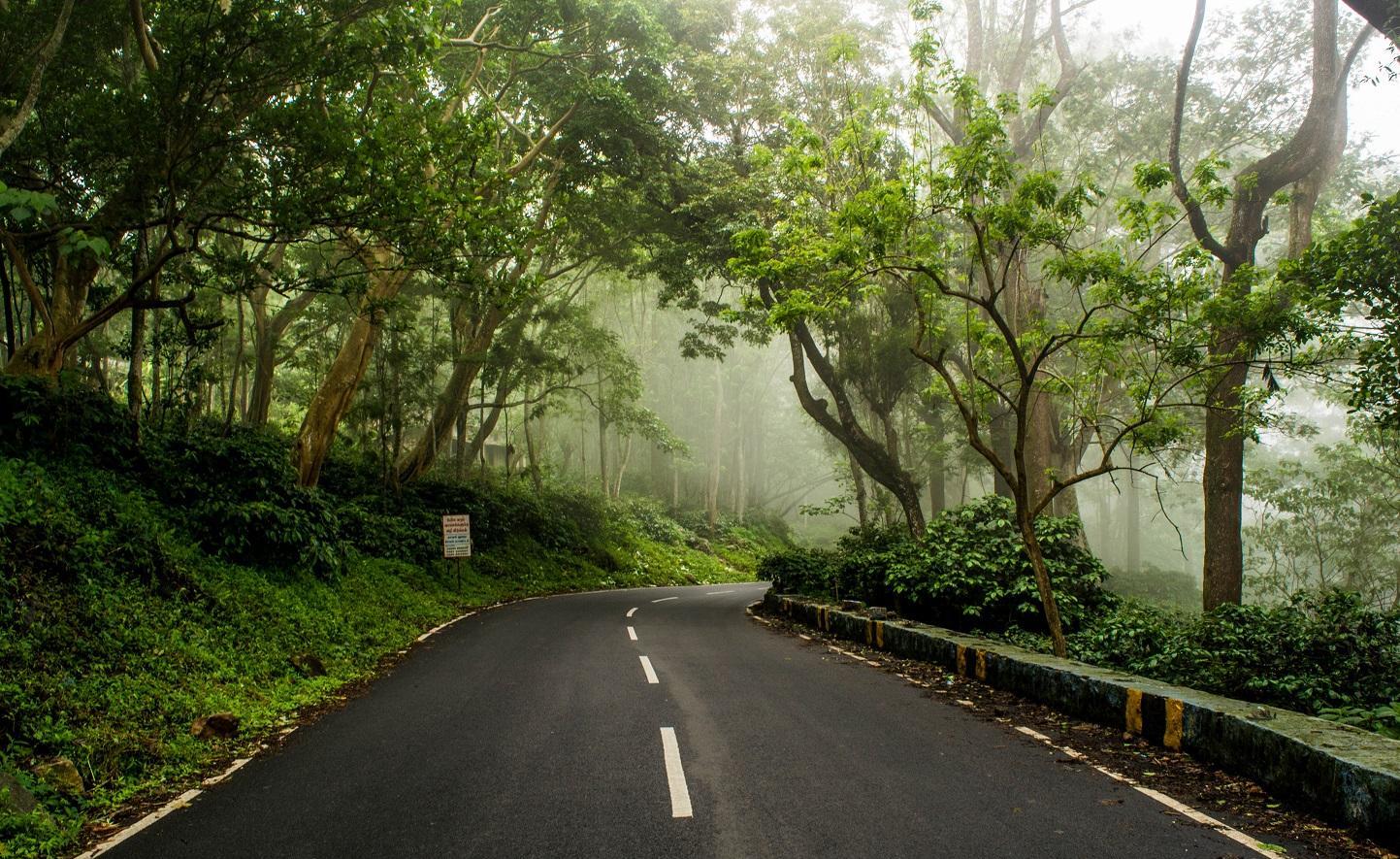 Tamilnadu Tourism: 32-Km Loop Road, Yercaud