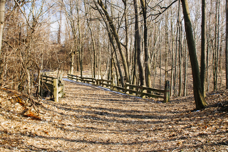 Hillandale Bridge | Tiny Sputniks