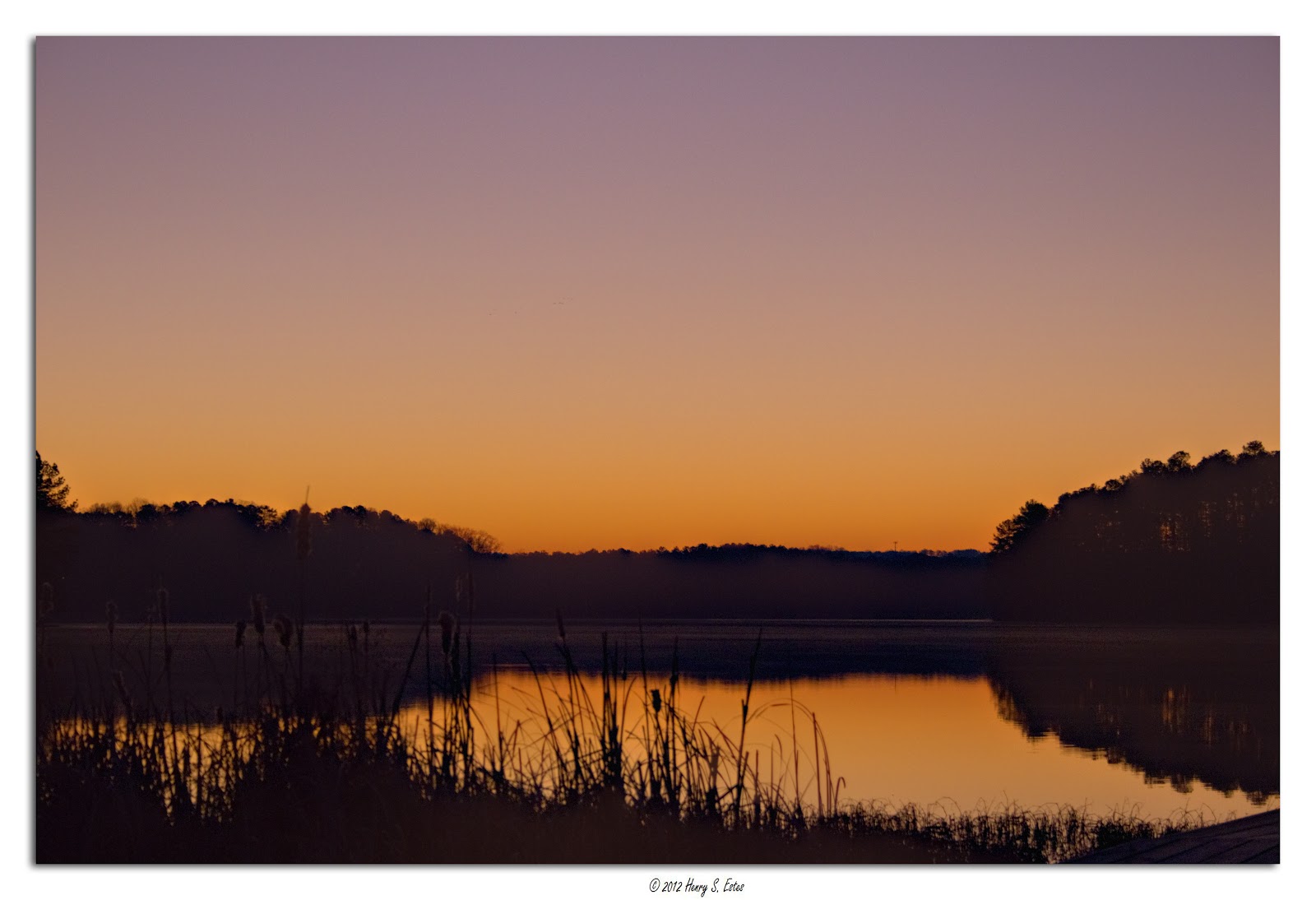 Henry S. Estes Photography: Purple Haze