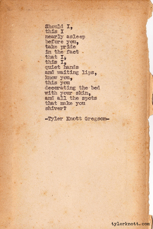 Polaroid Cupcake Modern Poetry polaroid-cupcake-modern-poetry
