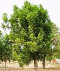 Interesting geographic | information geographic | geographic news: 11 ...