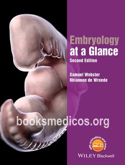 Embriología | booksmedicos - Part 2