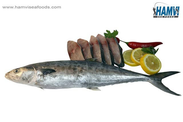 Chirag Satpute Blog: May 2016