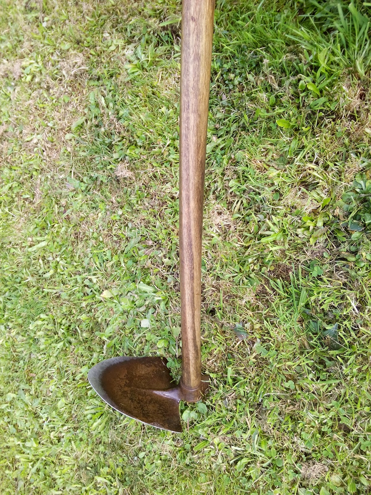 Sachoada: enero 2015