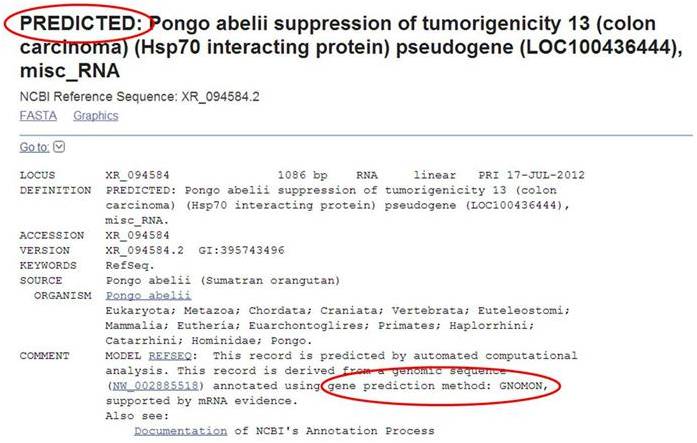 Genmol: Novo caminho pelas páginas do NCBI: genes, pseudogenes e ...
