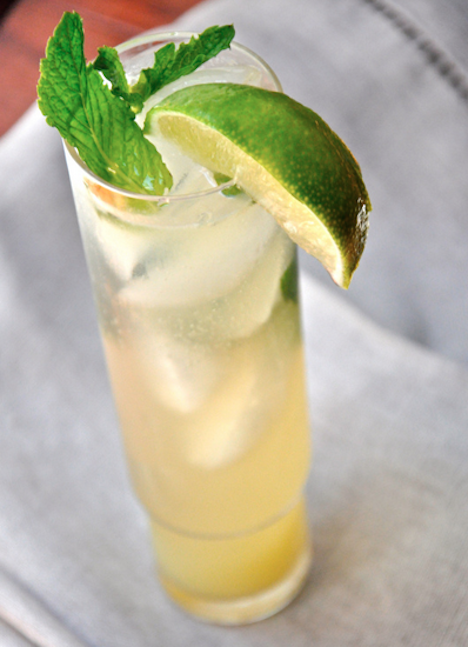 Summer Ginger Beer Drinks - A Good Hue