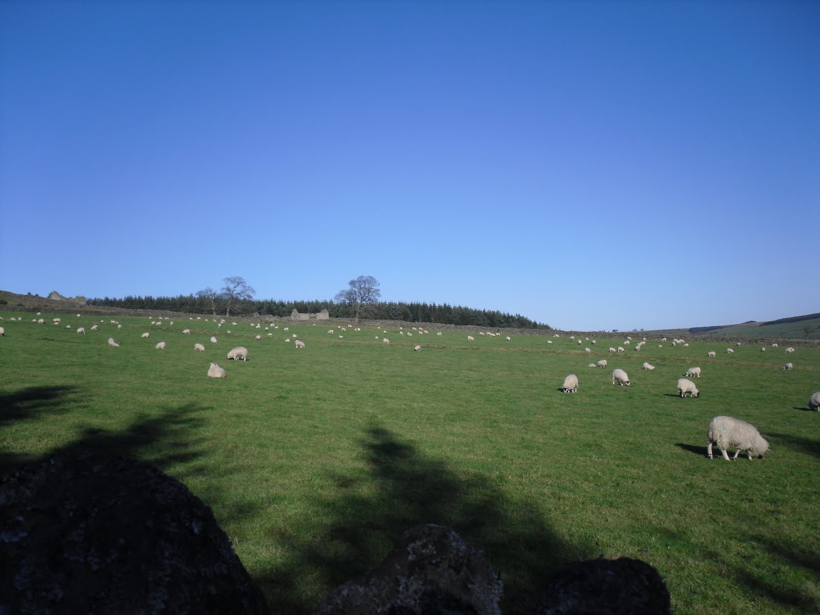 Rambling Nana: Wolsingham, Tunstall Reservoir Circular