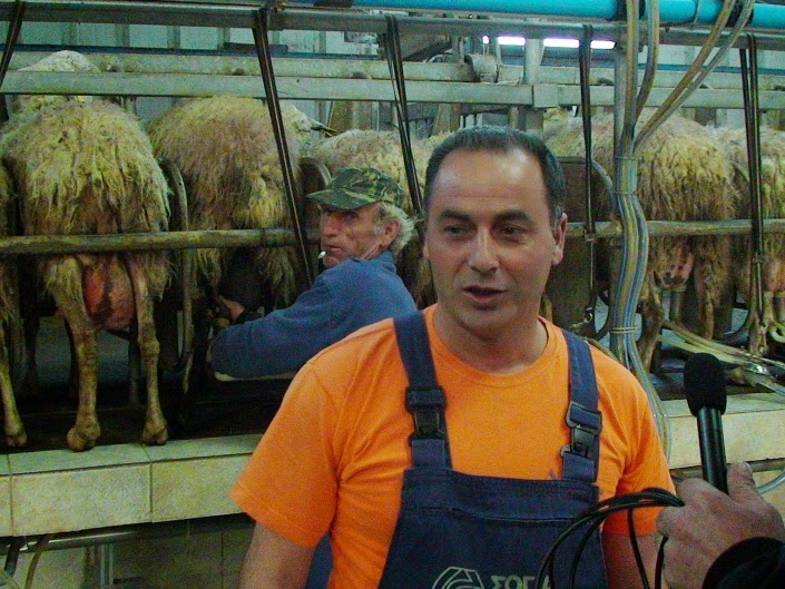 ΣΑΚΗΣ ΛΟΥΚΜΑΚΙΑΣ: ΣΕ ΕΠΑΓΡΥΠΝΗΣΗ ΟΙ ΚΤΗΝΟΤΡΟΦΟΙ ΞΑΝΘΗΣ - MAXHTHΣ
