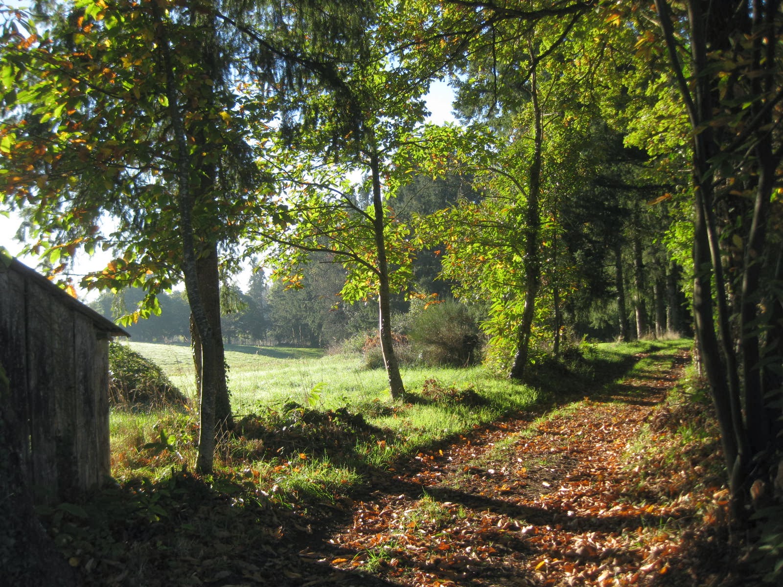 Jumilhac-le-Grand, Limousin Périgord: Automne à Bourdoux