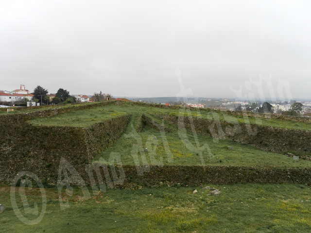 AMO DEL CASTILLO: Partes del fuerte: Tipos de revellín