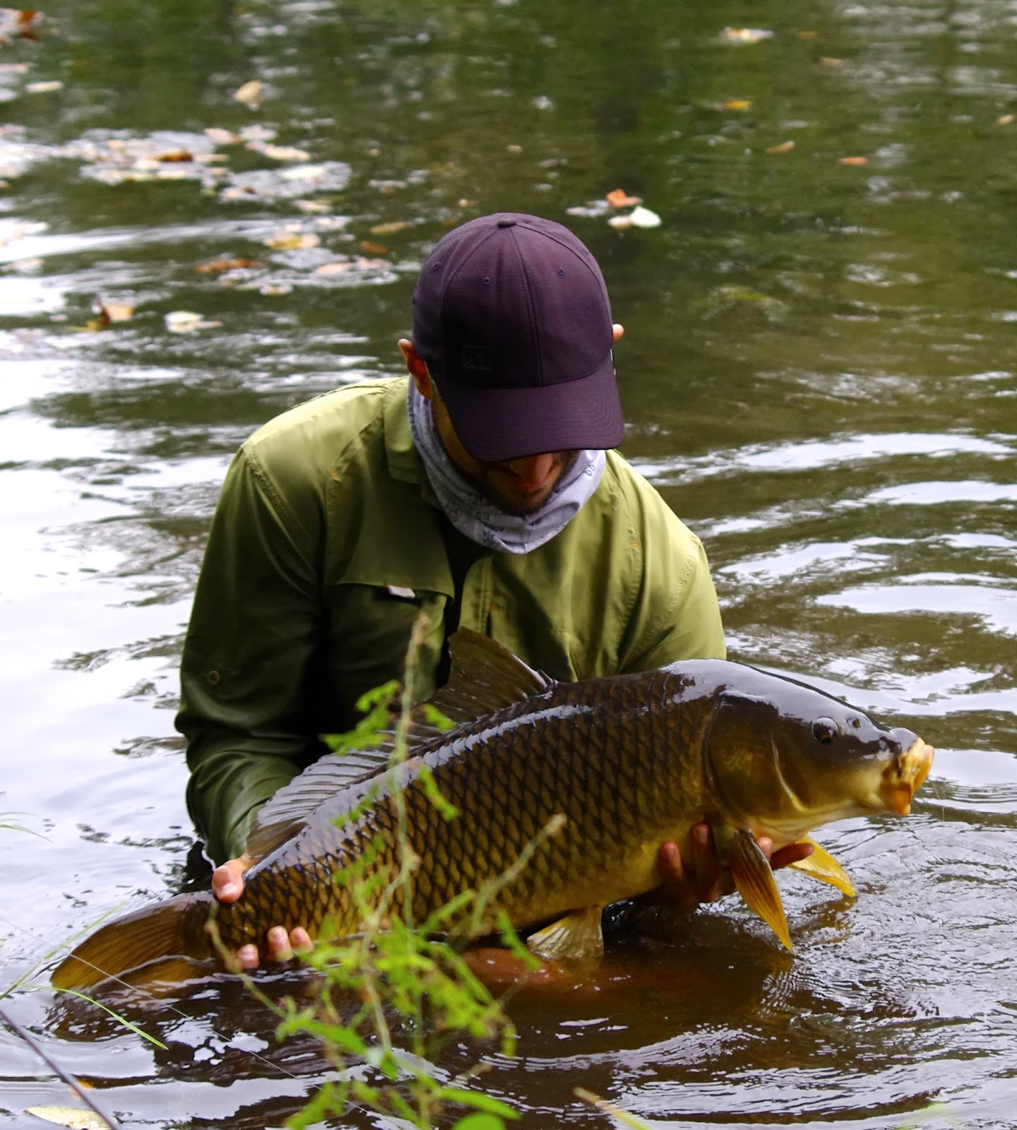 This River is Wild: Carp Flies: Damsel in Distress