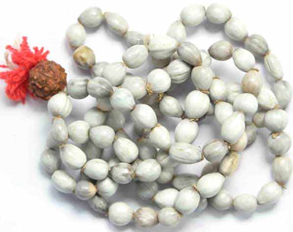 Vaijayanti Mala Benefits | Hindu Blog