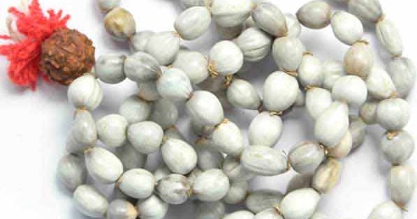 Vaijayanti Mala Benefits | Hindu Blog