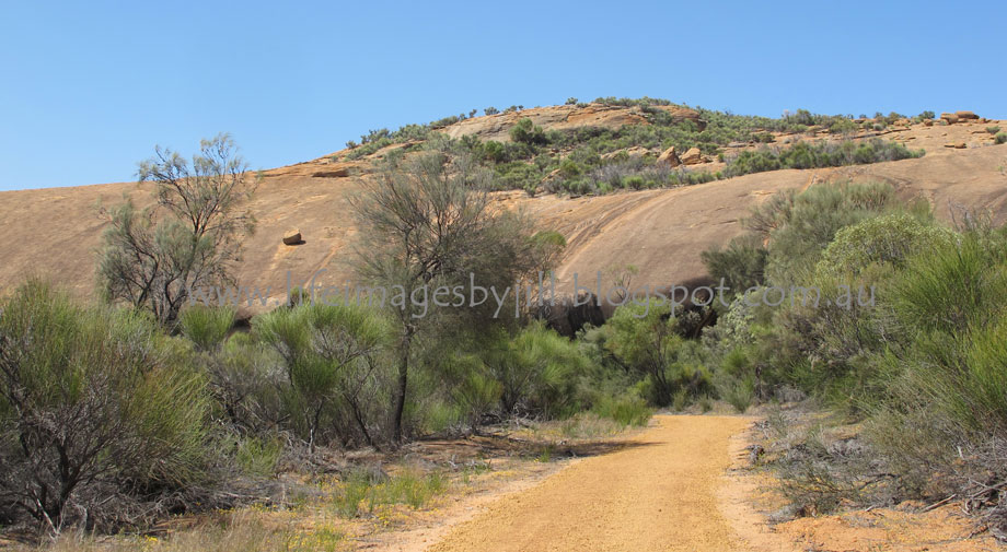 Life Images by Jill: Camping out in the Western Australian wheatbelt ...