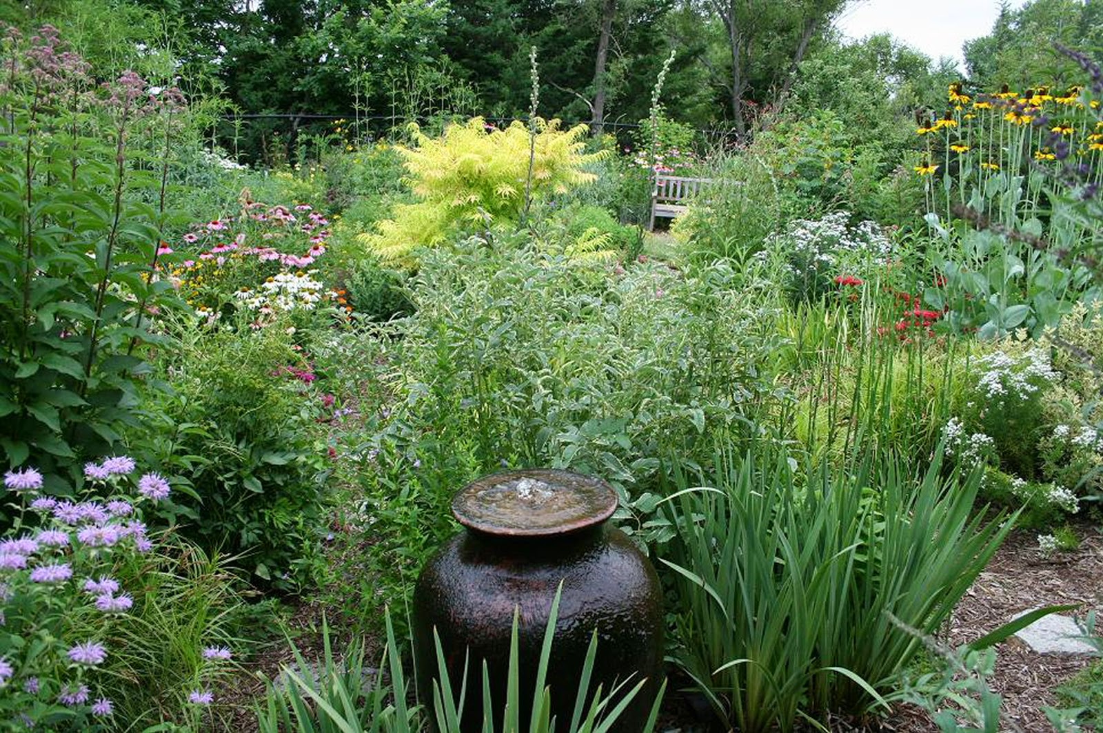 20+ Extraordinary Native Plant Landscape Design ~ Danielle Finch