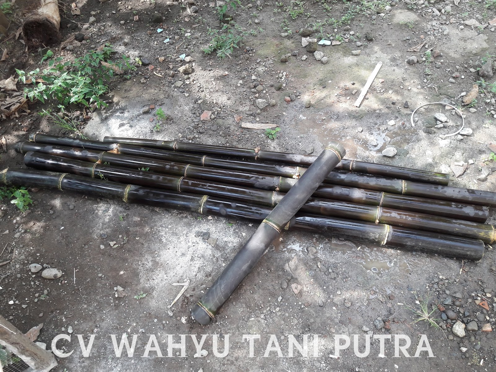Bambu Hitam/ Bambu Wulung Potongan | CV. WAHYU TANI PUTRA