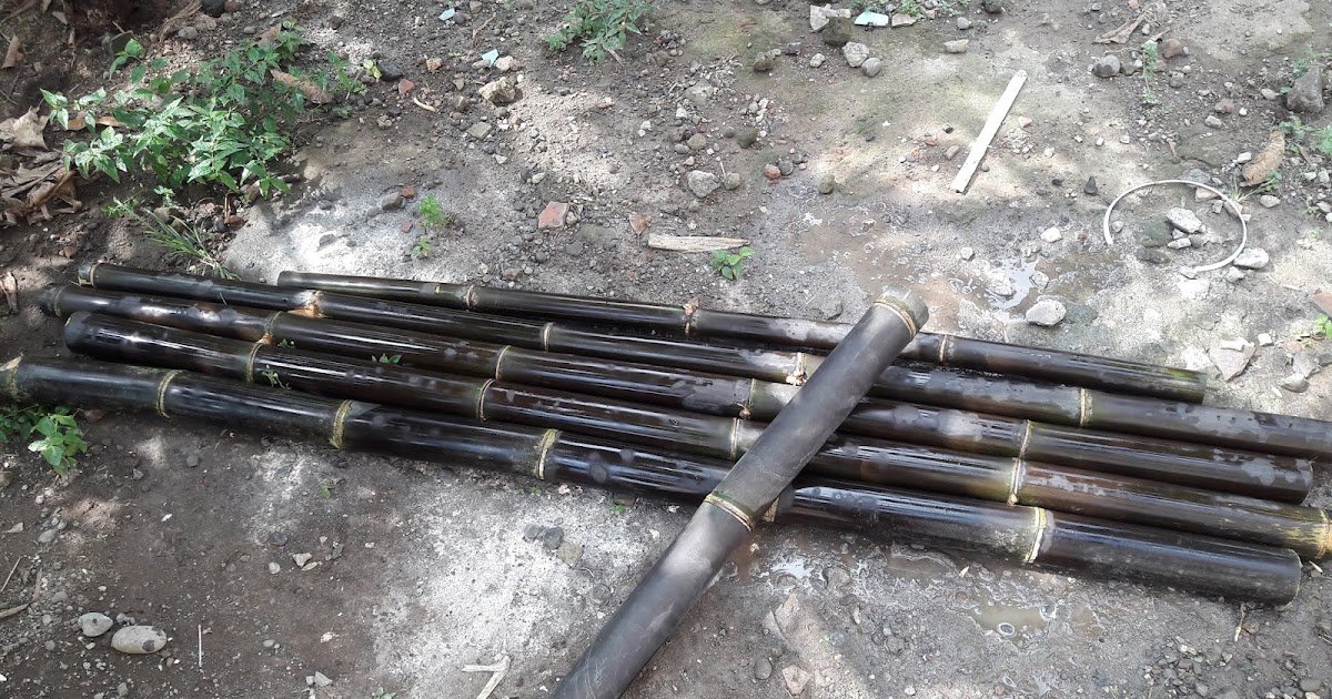 Bambu Hitam/ Bambu Wulung Potongan | CV. WAHYU TANI PUTRA