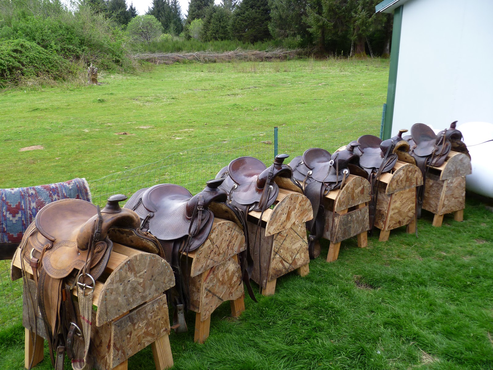 Scott R. : The Quillayute Cowboy: George Lawrence Saddle Collection