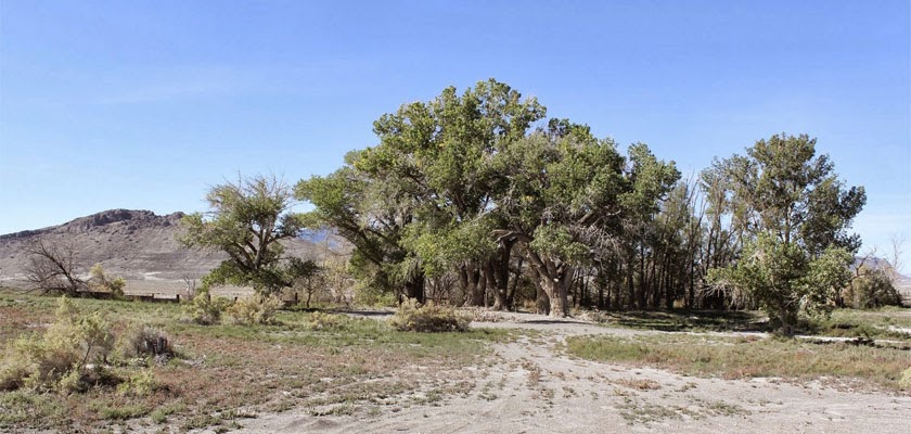 Utah Birding Spots: Lucin