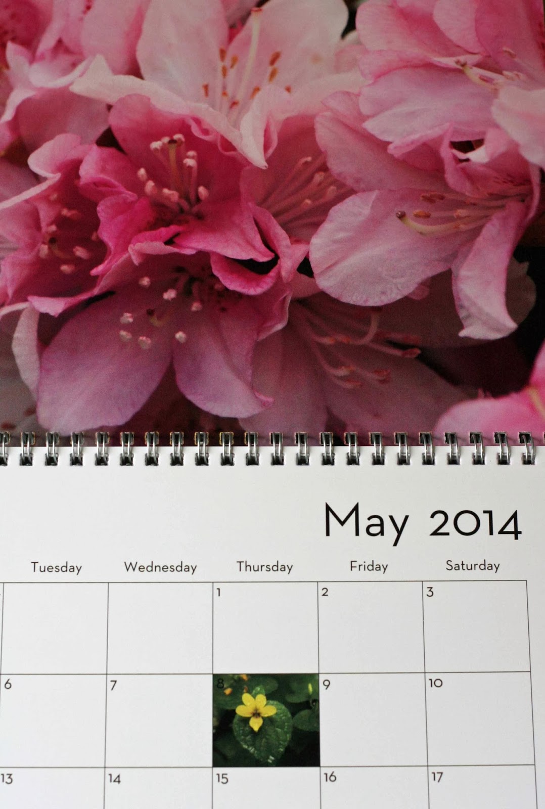 Linda's Lens: Return of the Calendar Giveaway!