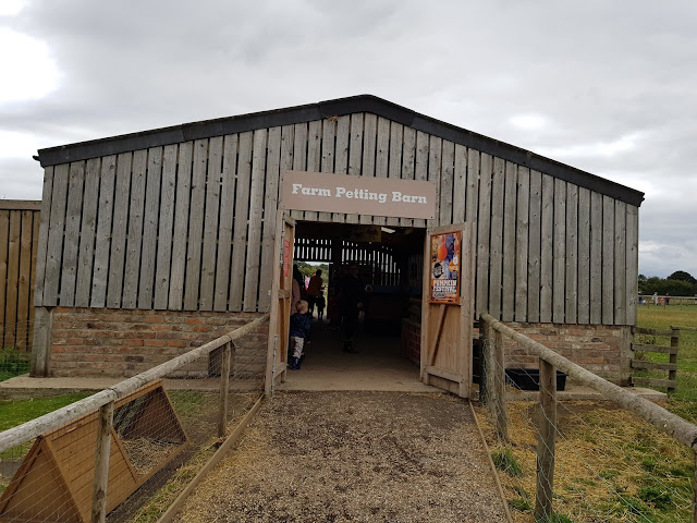 10 Things You Need To Know Before Visiting Piglets Adventure Farm In ...