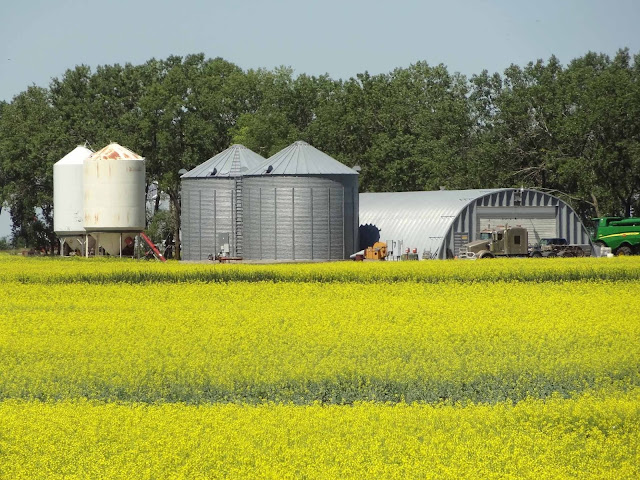 Geographically Yours: Langdon, North Dakota, USA