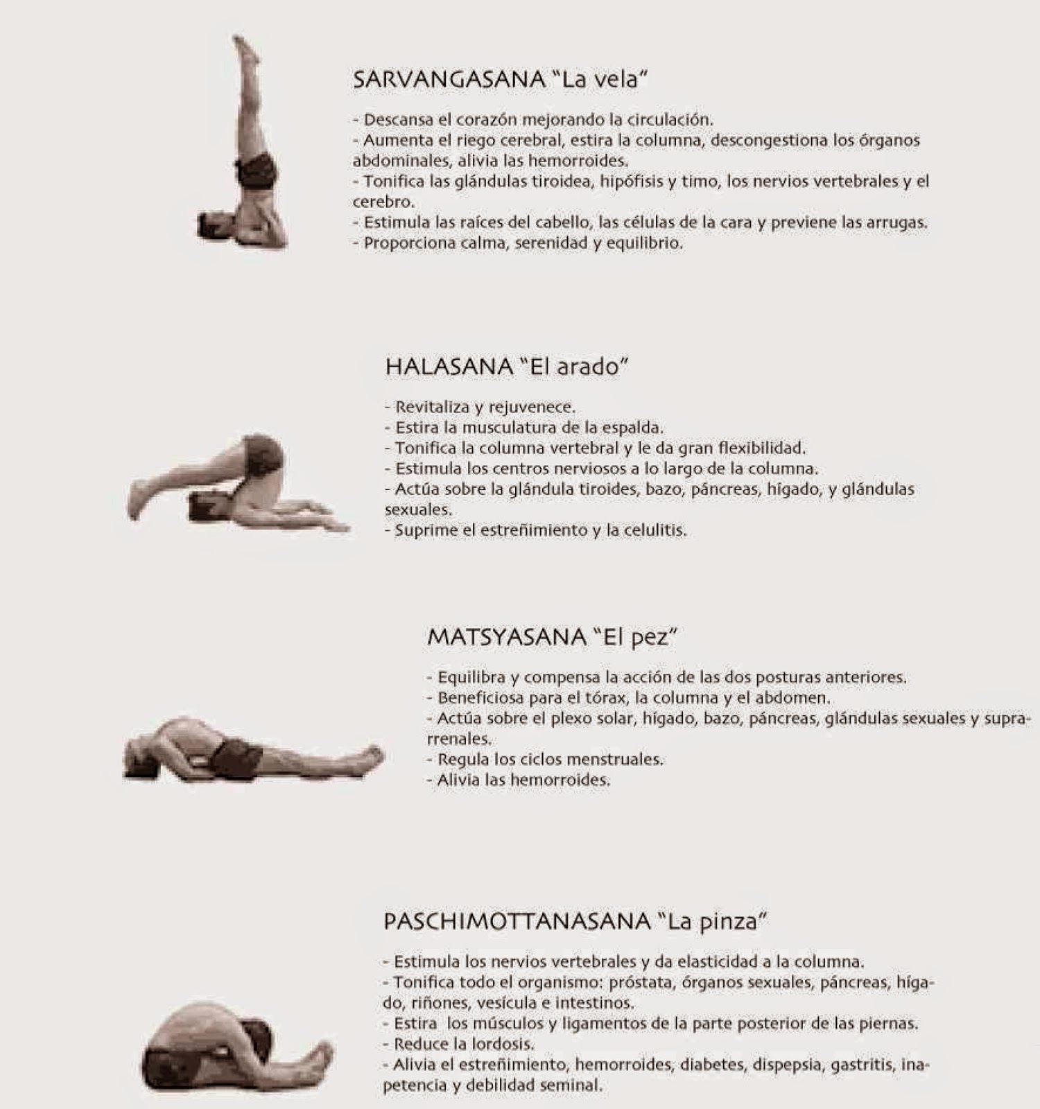 Pilates Contigo: Yoga
